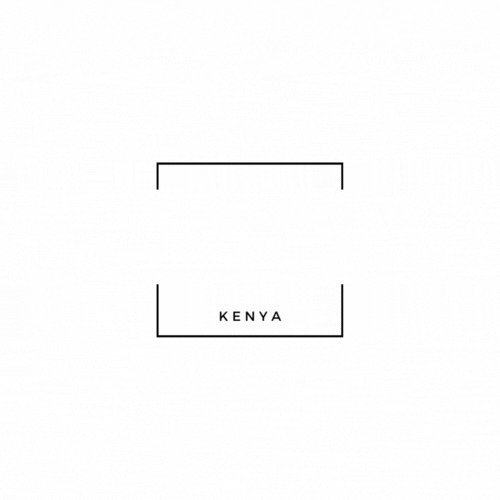 Rapid Verification Services News and insights, Kenya